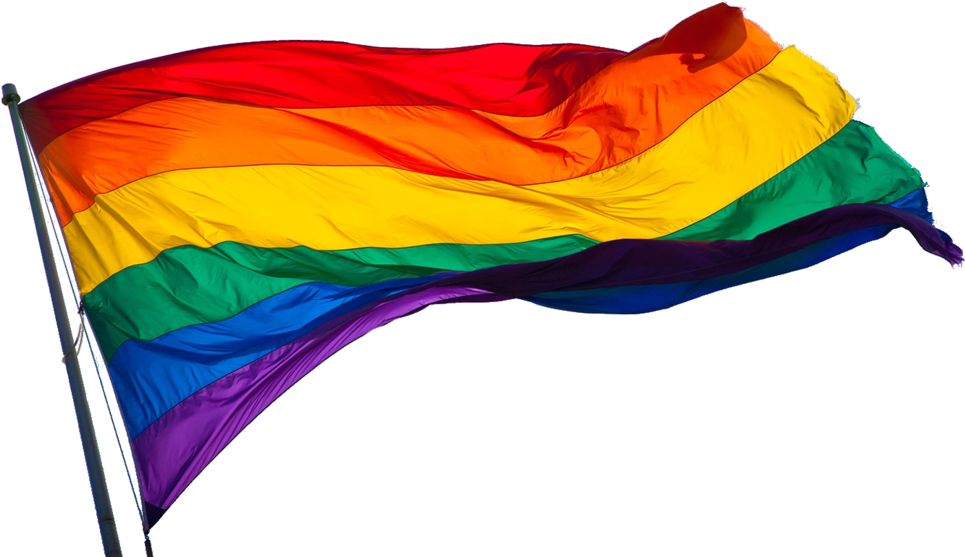 History Of The Pride Flag Sexual History Tour